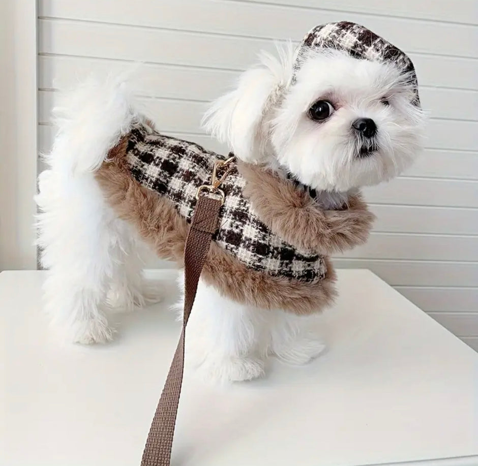 DOG CLOTHES | DESIGNER DOG APPAREL & ACCESSORIES | DOG COLLAR/LEASH ...