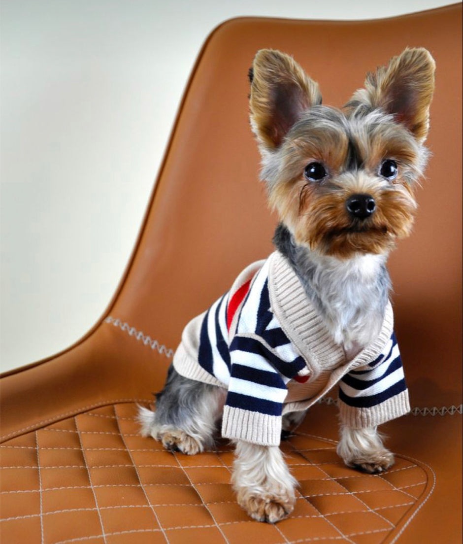 DOG CLOTHES | DESIGNER DOG APPAREL & ACCESSORIES | DOG COLLAR/LEASH ...